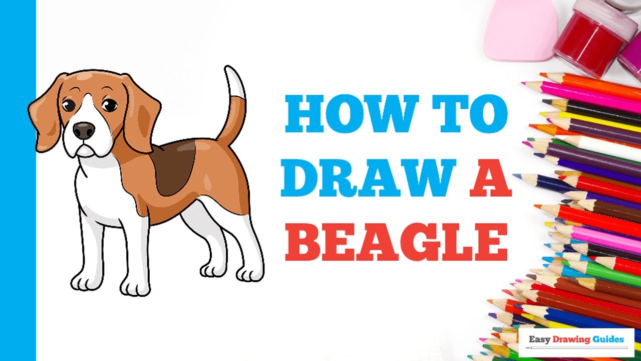 How to Draw a Beagle: Easy Step by Step Drawing Tutorial for Beginners ...