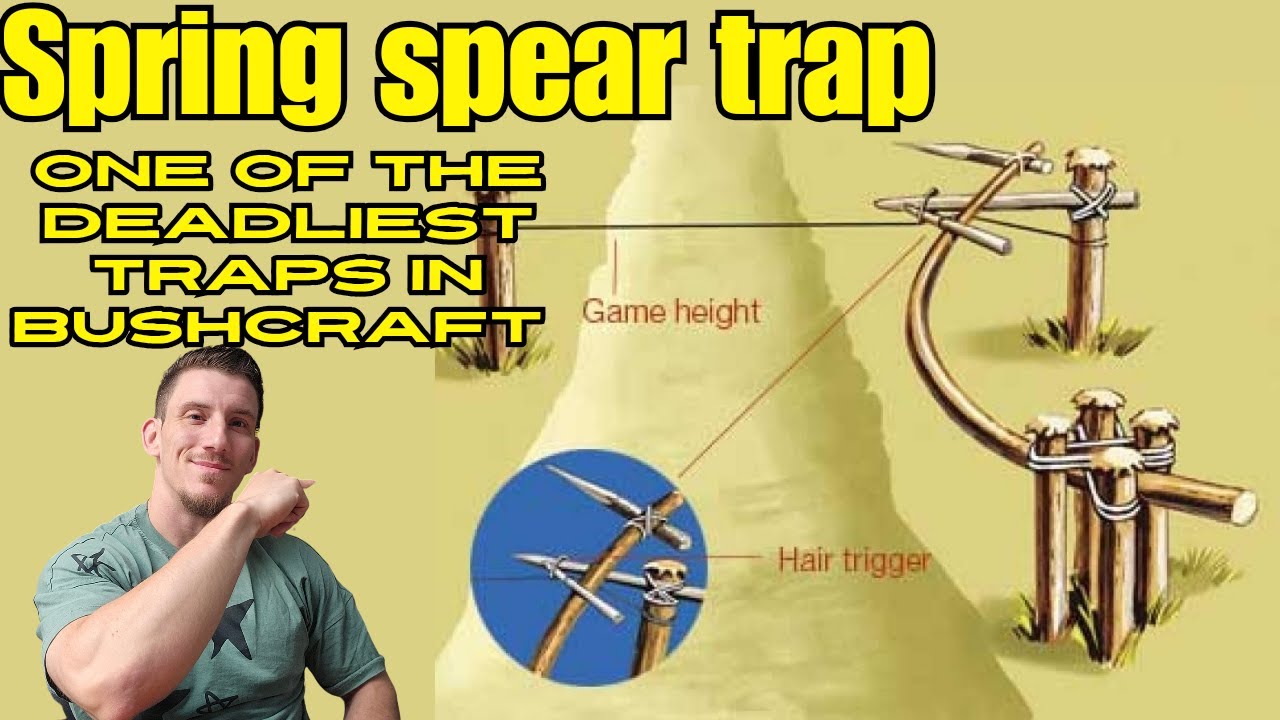 The Spring spear trap (one of the deadliest traps in bushcraft) - YouTube