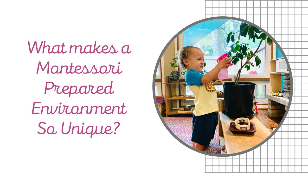 What makes a Montessori Prepared Environment so unique? - YouTube
