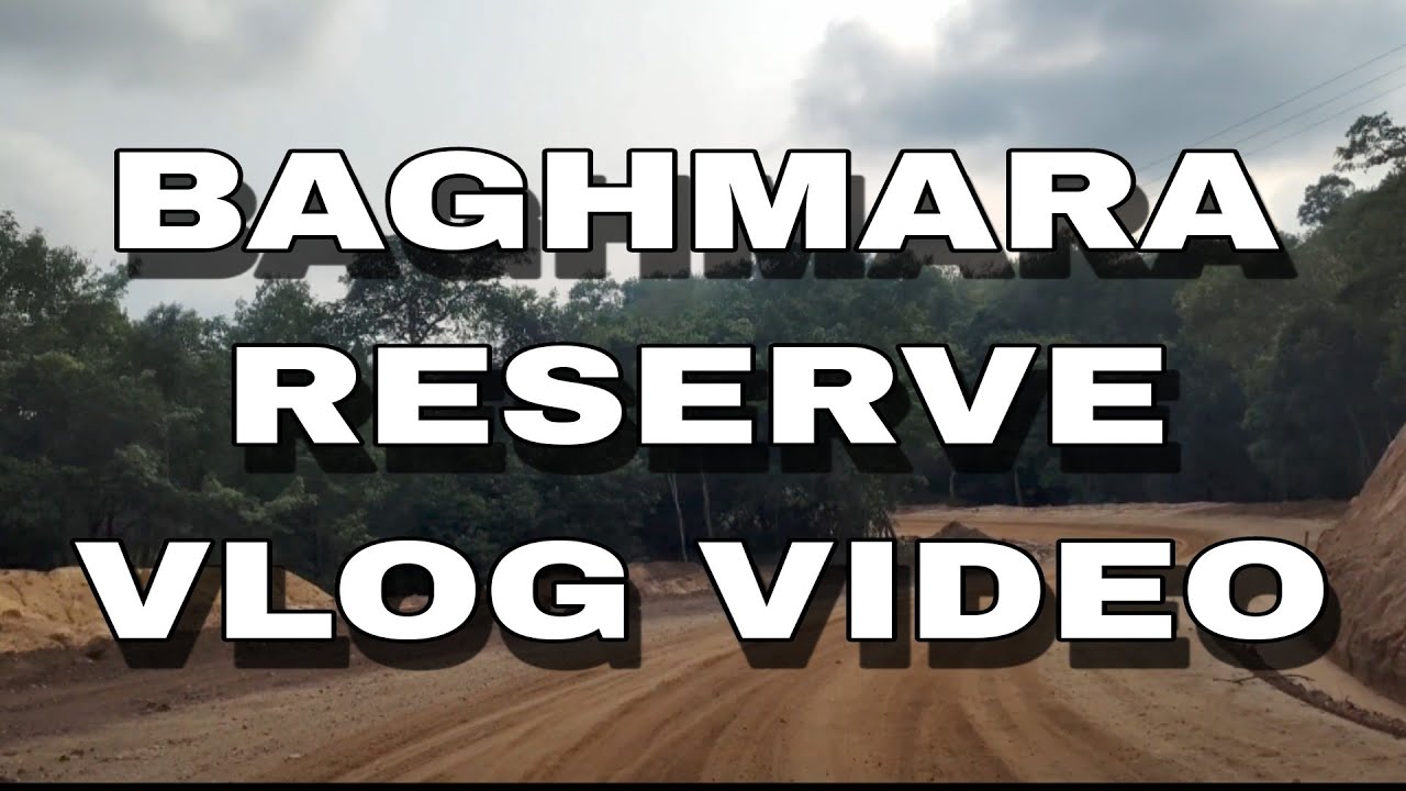 BAGHMARA RESERVE VLOG VIDEO. - YouTube
