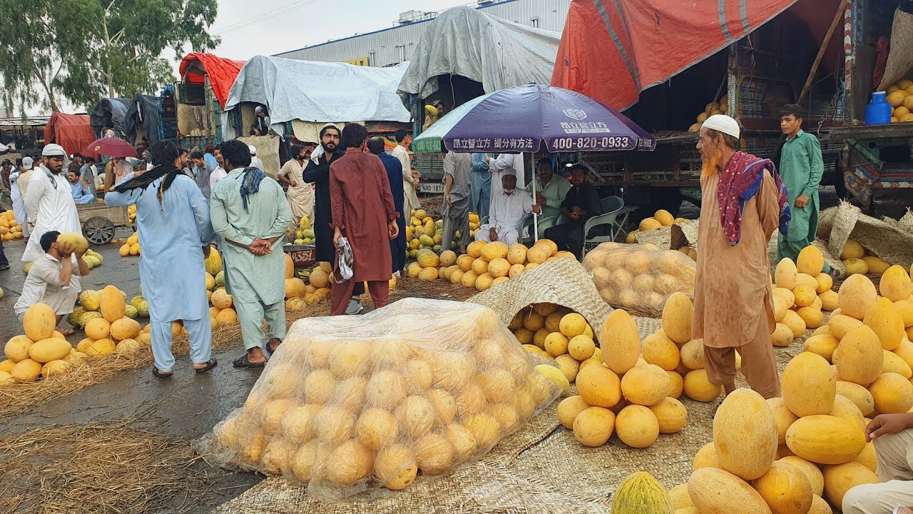 Balochistan Special garma | Melon best quality and sweet like honey ...