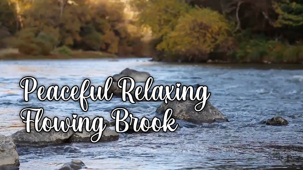 Relaxing Brook Sounds | Blissful Stream Flowing Over Rocks for ...