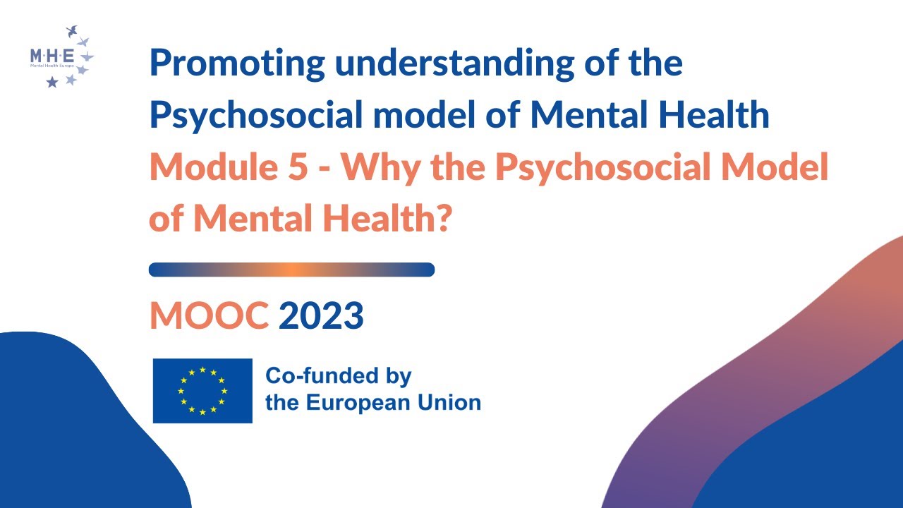 5. The Psychosocial Model of Mental Health - What is the Psychosocial ...