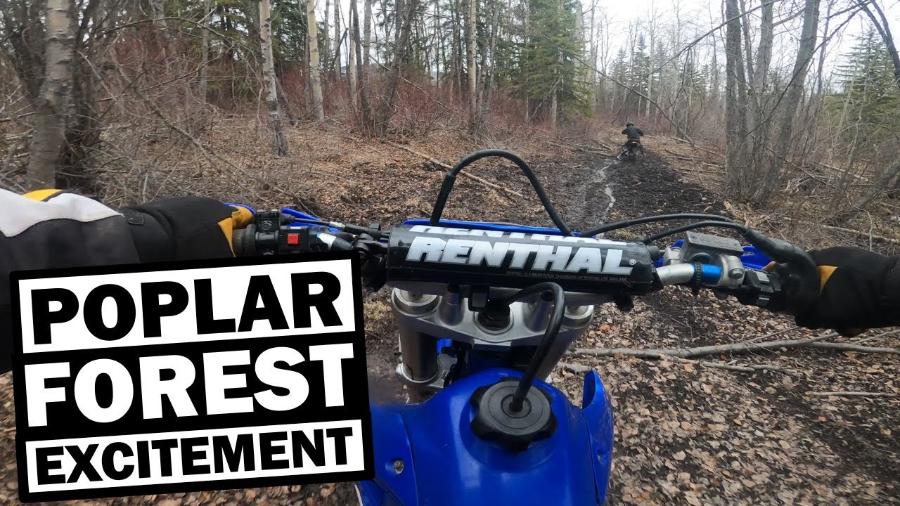 Epic Autumn Dirt Biking Adventure: Riding Through the Poplar Forest ...