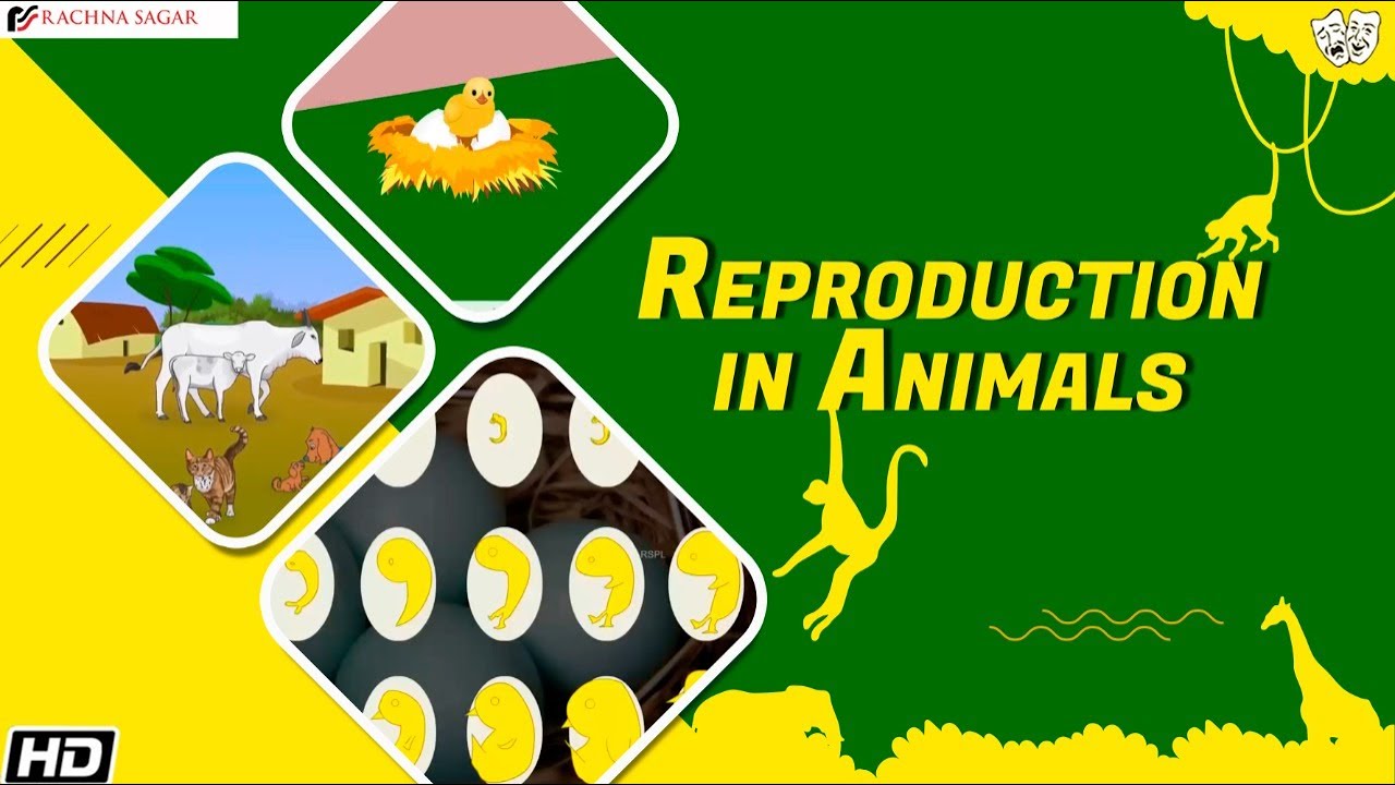Reproduction in Animals | Be a Scientist Class 4 | Educational Videos ...