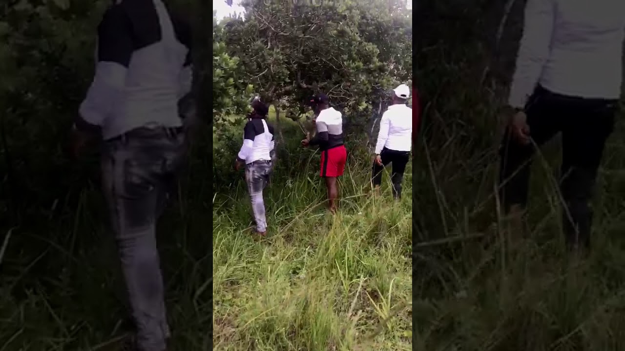 Mthandeni manqele - YouTube