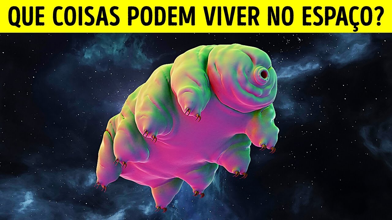 Que formas de vida podem viver no espaço sideral? - YouTube