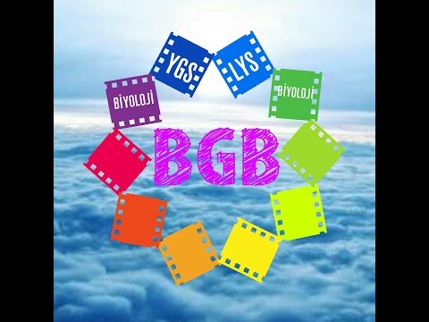 Gamet çeşiti hesaplama 1