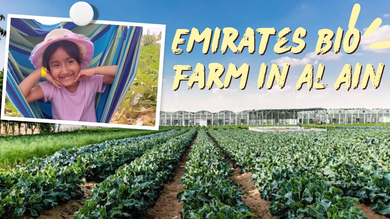Vist to Emirates Bio Farm in Al Ain - YouTube