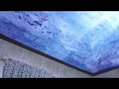 TESTING FIRST WATER AQUARIUM IN CEILING - YouTube