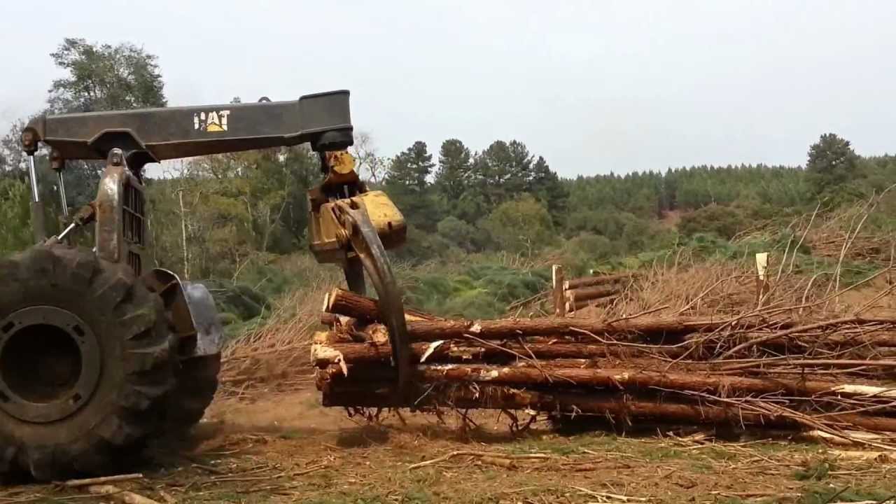 Skidder cat 545 - YouTube