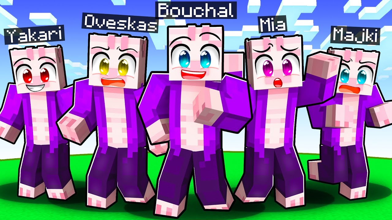 Dokáže BOUCHAL NAJÍT ROZDÍLY v Minecraftu?! - YouTube