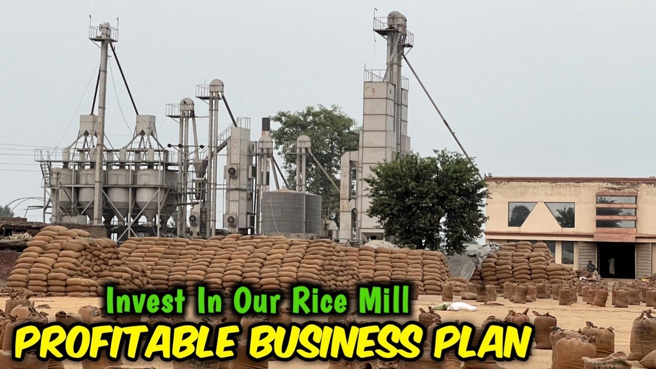 How to Start a Rice Mill Business - Ultimate Guide for Success in 2023 ...