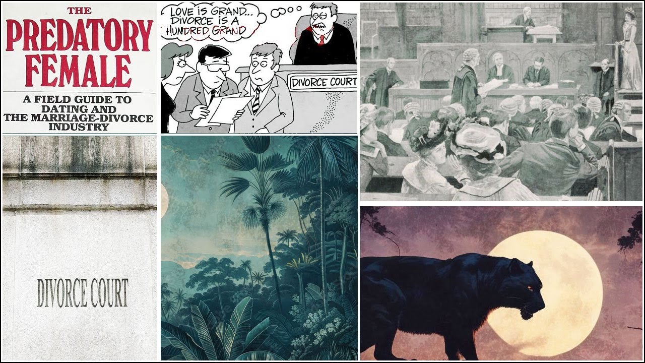 THE PREDATORY FEMALE by Lawrence Shannon Full AudioBook - YouTube