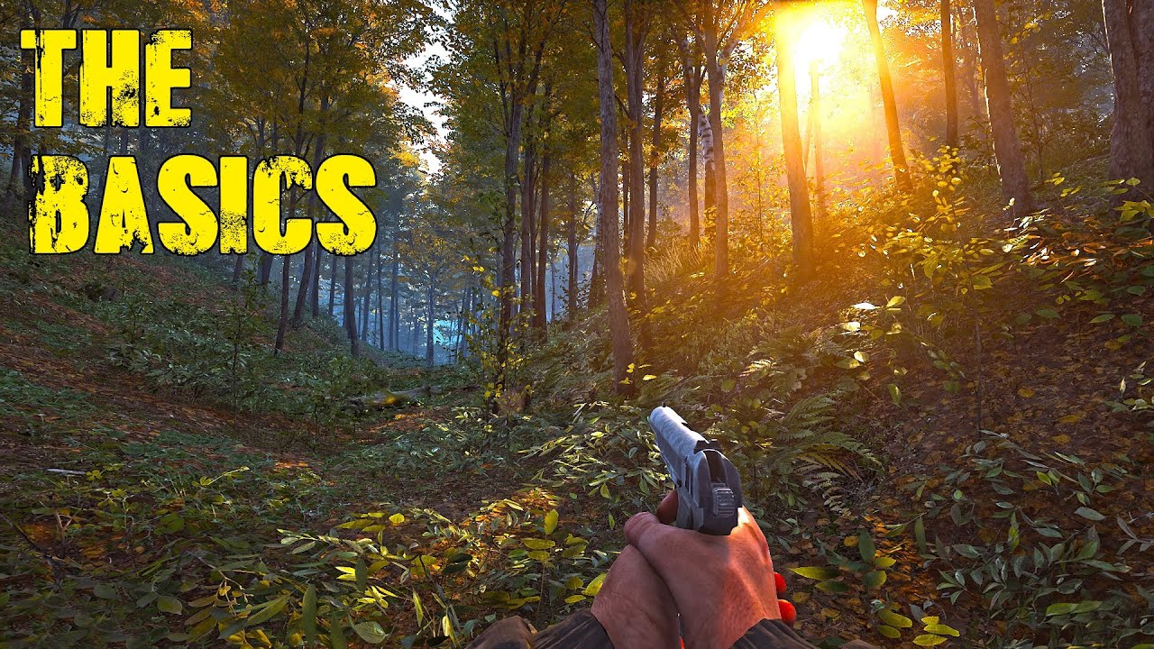 The Ultimate Guide to Deadside : The Basics and Server Creation - YouTube