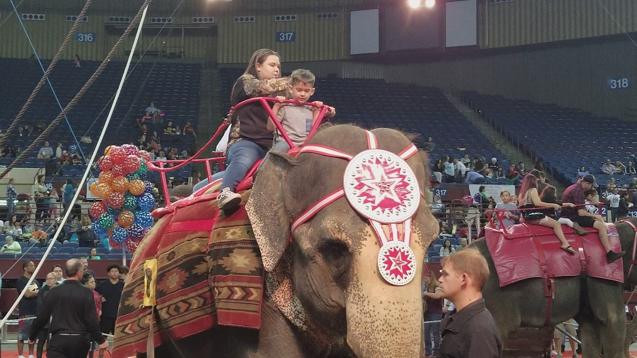 Shrine circus forward Texas 2017(16) - YouTube