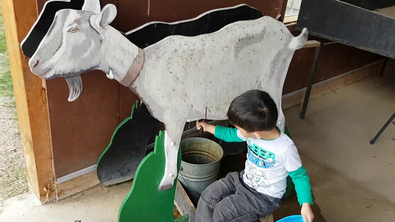 A Taste as Little farmers in Edendale Community Environment Farm Eltham ...