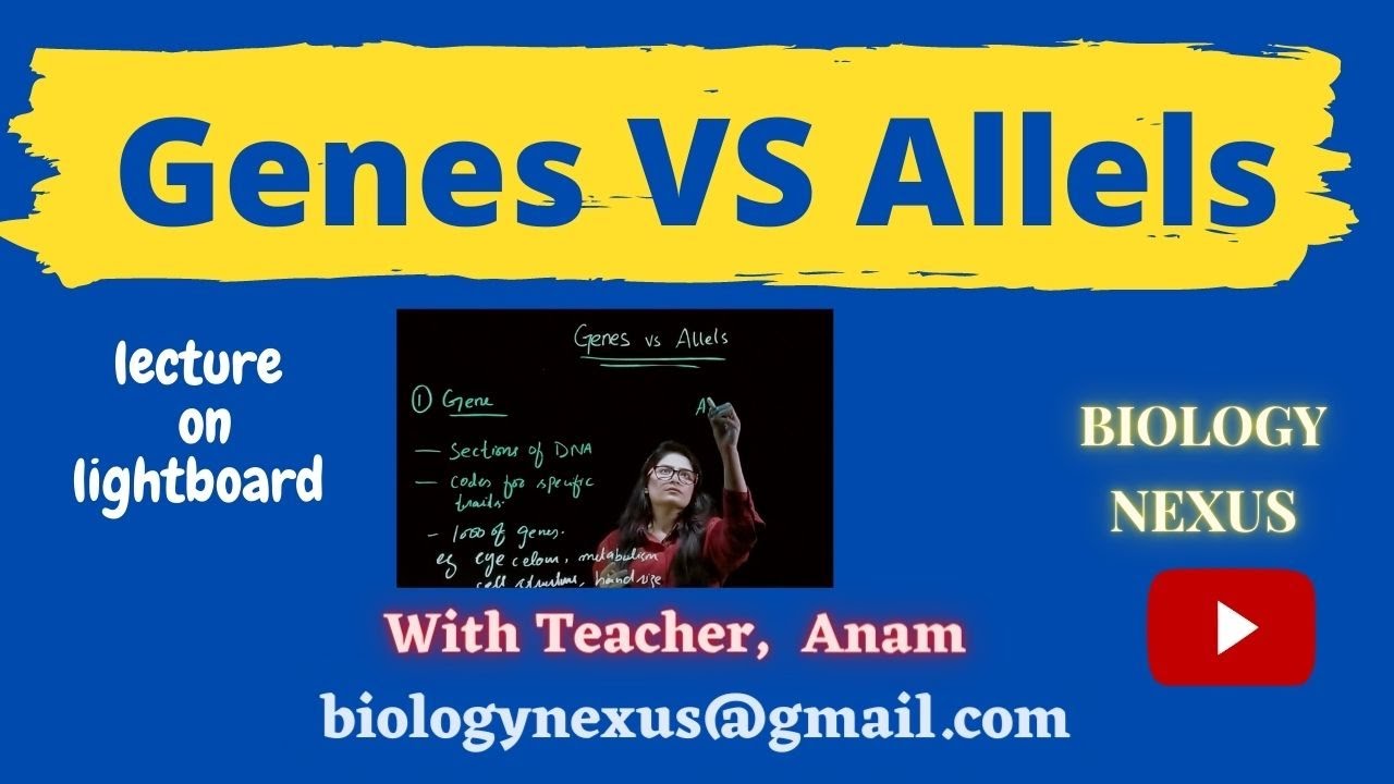 genes vs alleles | biology nexus | science courses | genes vs alleles ...