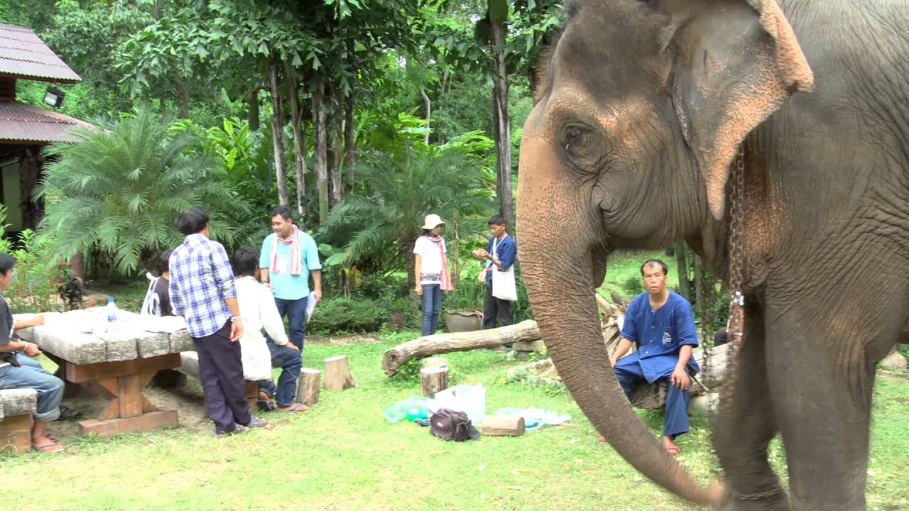 Mahout Training Course - YouTube