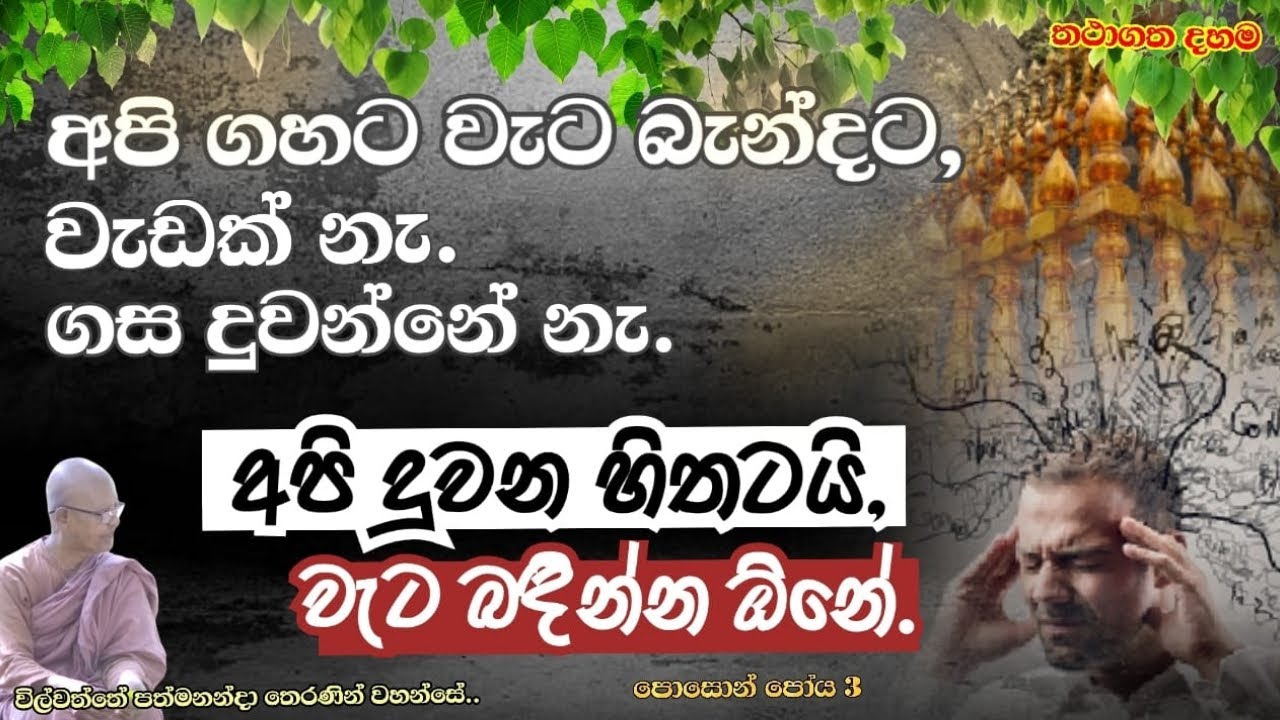 Wilwaththe PathmaNanda Theraniyo. - YouTube