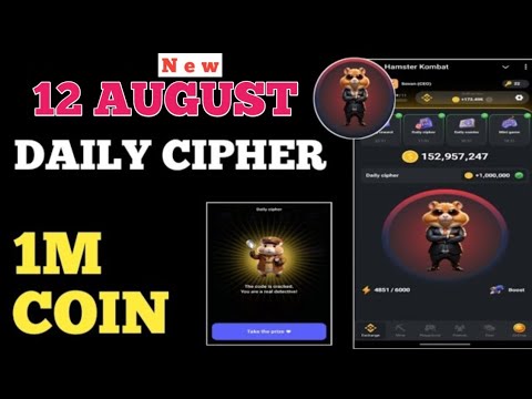 12 August Hamster Kombat Daily Cipher |Hamster Kombat Daily Cipher Code ...