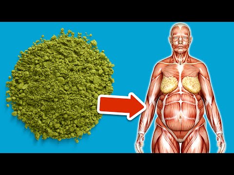 Du GLAUBST NICHT was mit dir passiert, wenn du jeden Tag Matcha Tee trinkst 🤯💥