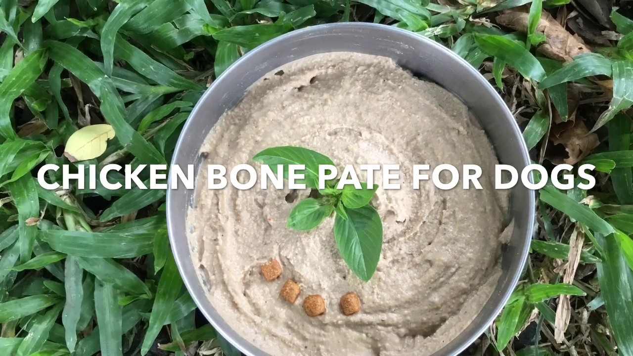 Chicken Bone Pate For Dogs! - YouTube