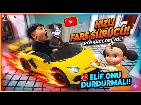 POYRAZ VE ELİF ARABA SÜRERKEN YARAMAZ FARE GELDİ !!