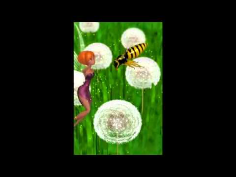 Talking Pets Movie - YouTube