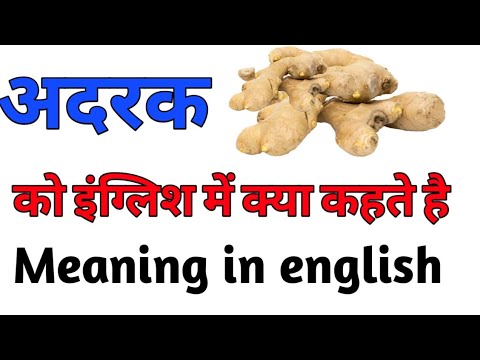अदरक को इंग्लिश में क्या कहते हैं? | adrak ko english mein kya kahate ...