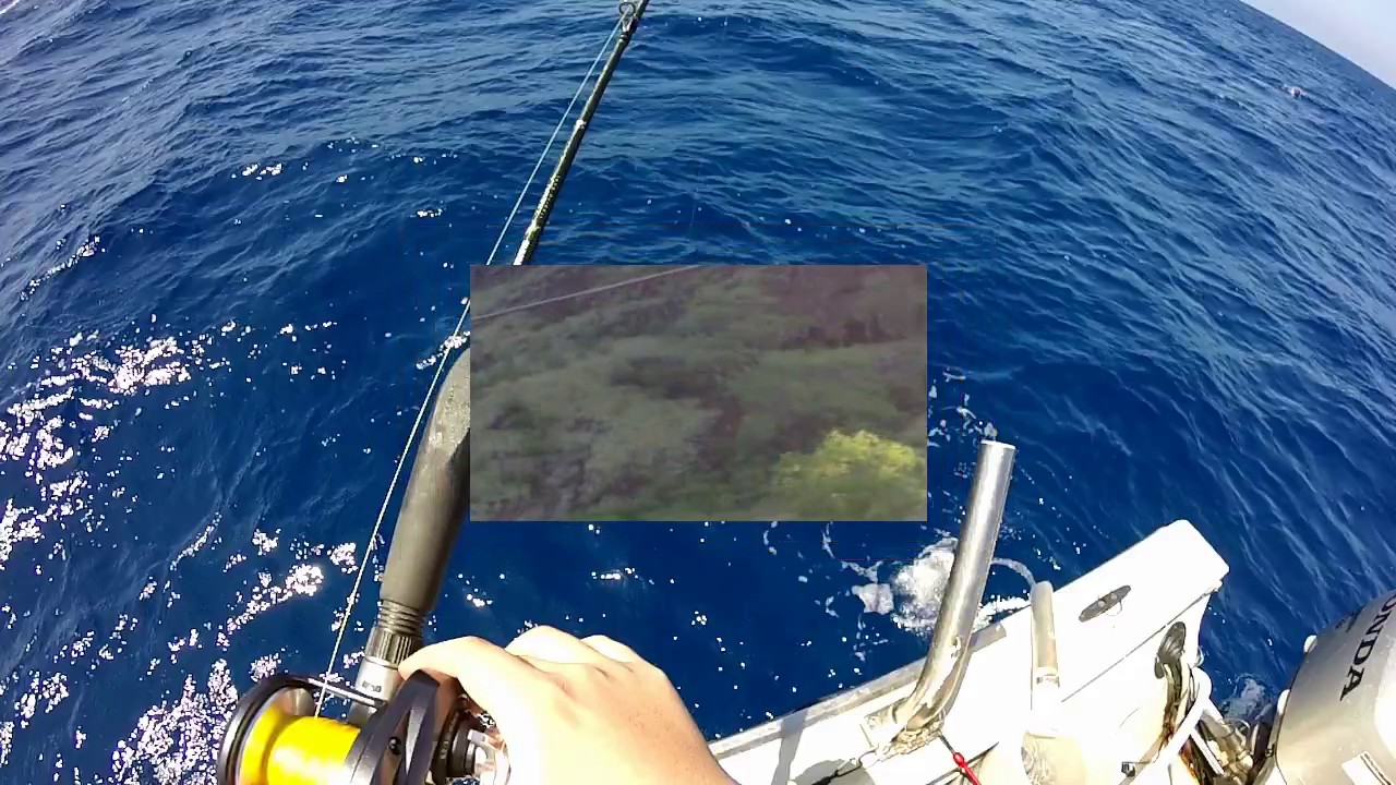 oahu bottom fishing - YouTube