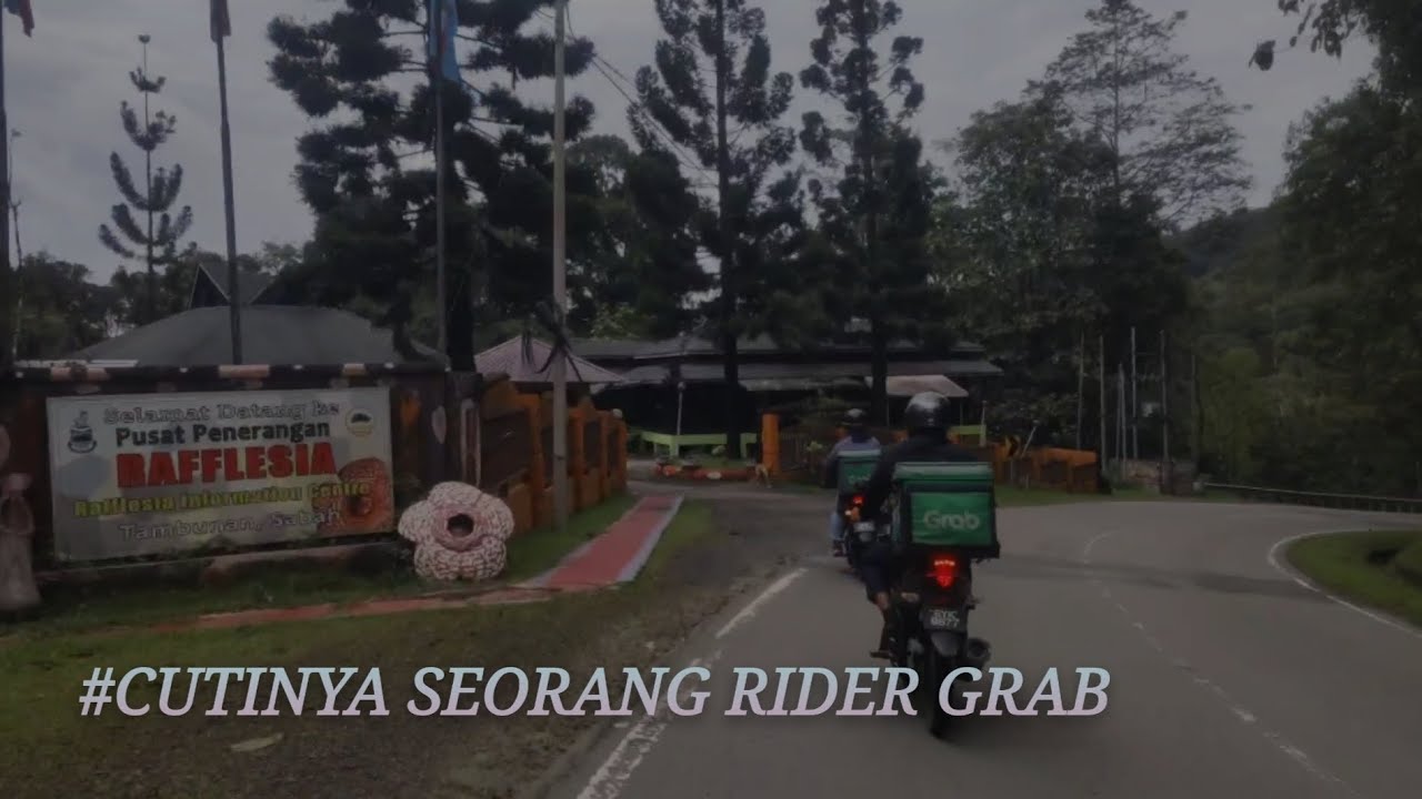 Bunga Reflesia & SateSepitang #RIDERGRABSABAH - YouTube