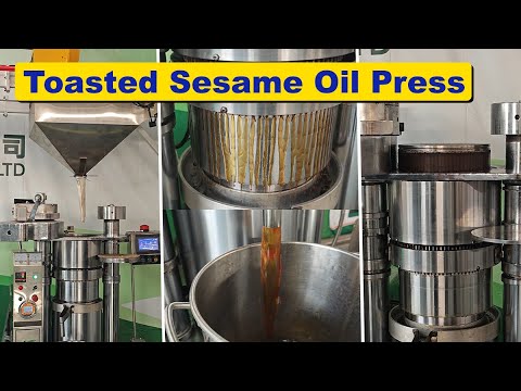 Sesame Oil Production Line|Toasted Sesame Oil Press Machine|Sesame Oil ...