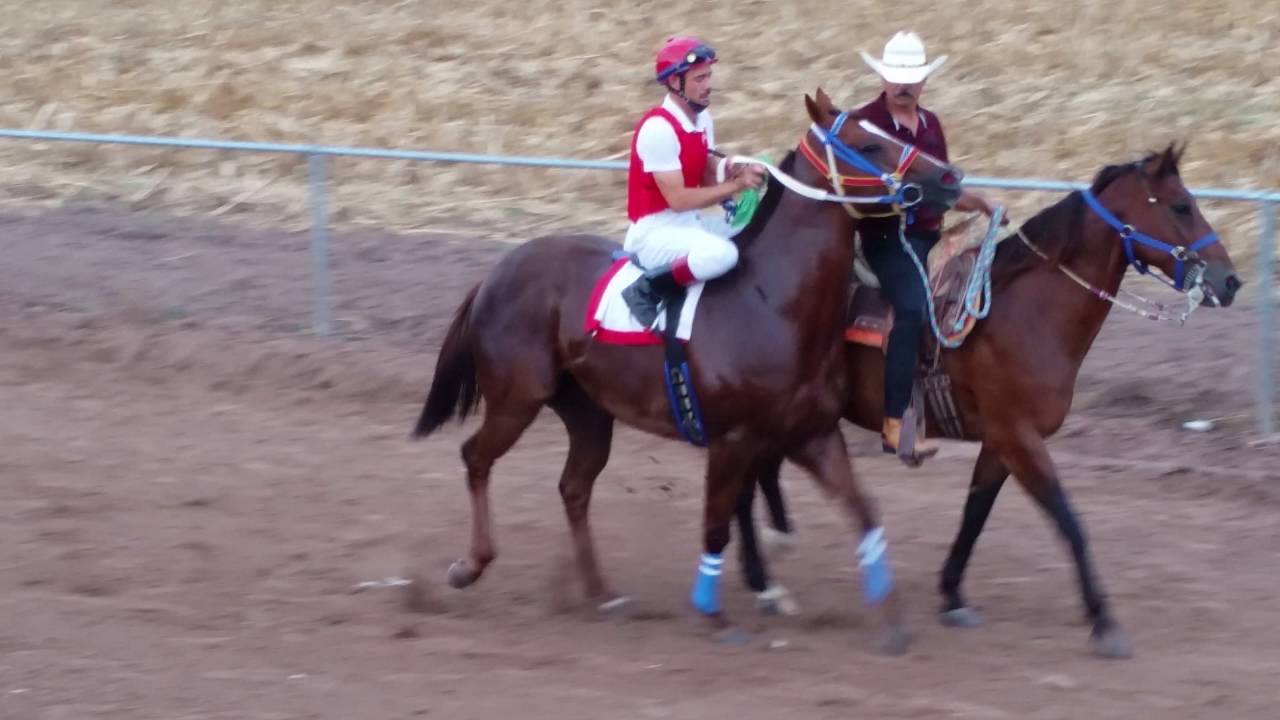 EL ESCUINCLE VS EL MEXICANO - YouTube