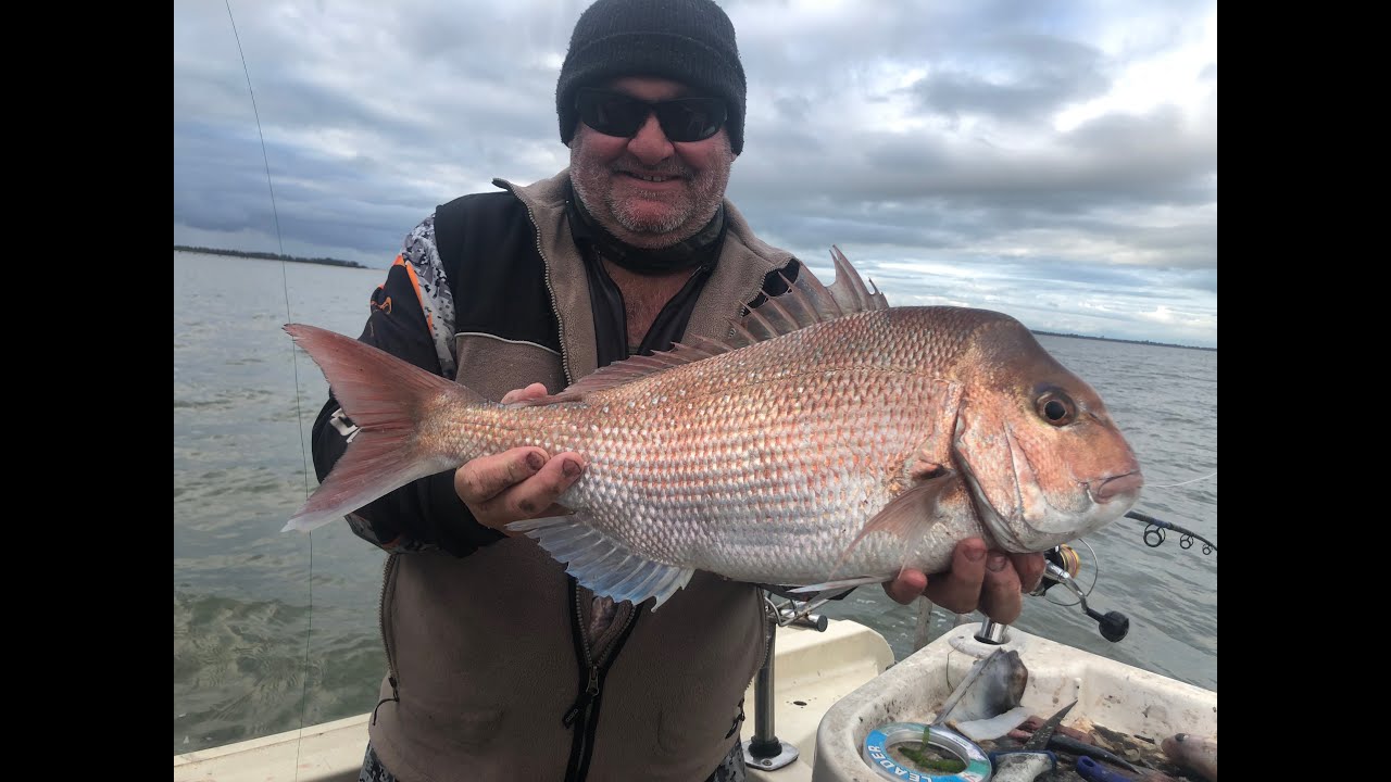 Snapper season 2021 the perfect start!! - YouTube