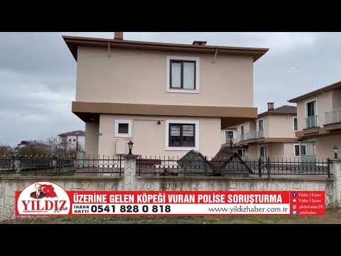 Üzerine gelen köpeği vuran polise soruşturma açıldı