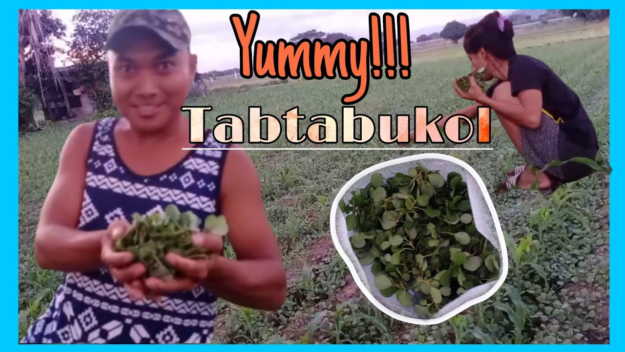 TABTABUKOL | Jetsam Channel - YouTube