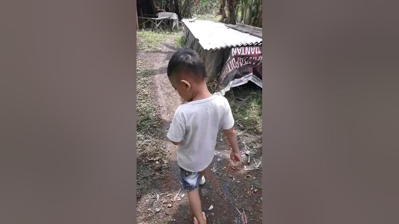 Ziyan Mau Cari Ikan Youtube