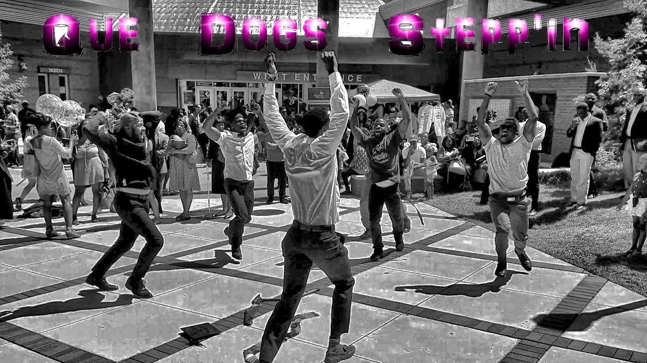 Omega Psi Phi Que Dogs Stepp'in - YouTube