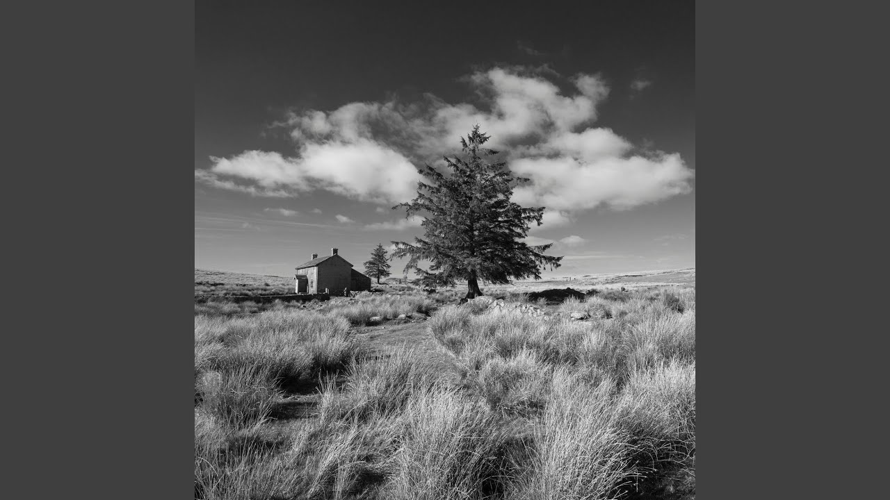 Edith Williams - YouTube