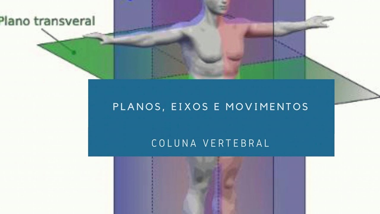 Planos, Eixos e Movimentos da Coluna Vertebral... - YouTube