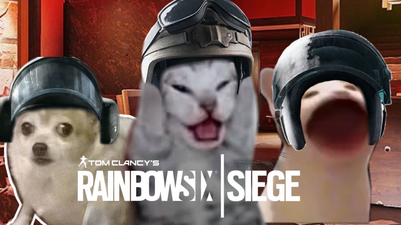 So, we’re in copper - YouTube