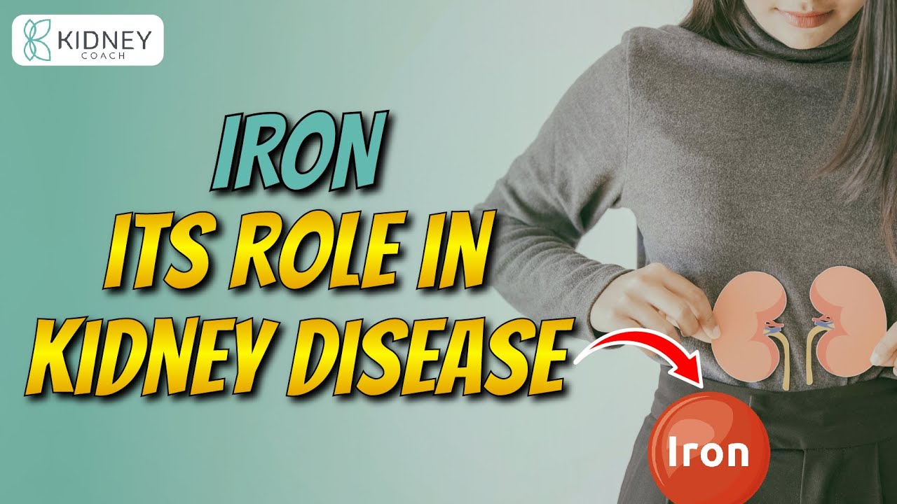Understanding The Role Of Iron In Kidney Disease & It’s Impact On ...