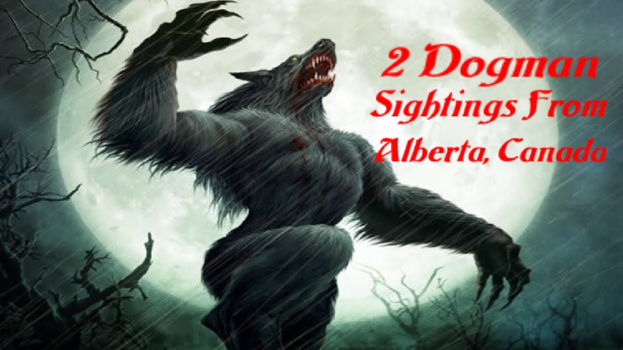 Two Dogman Sightings From Alberta, Canada - YouTube