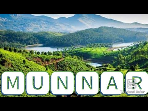 traveling vlog to Munnar //sweet magic by sithara - YouTube