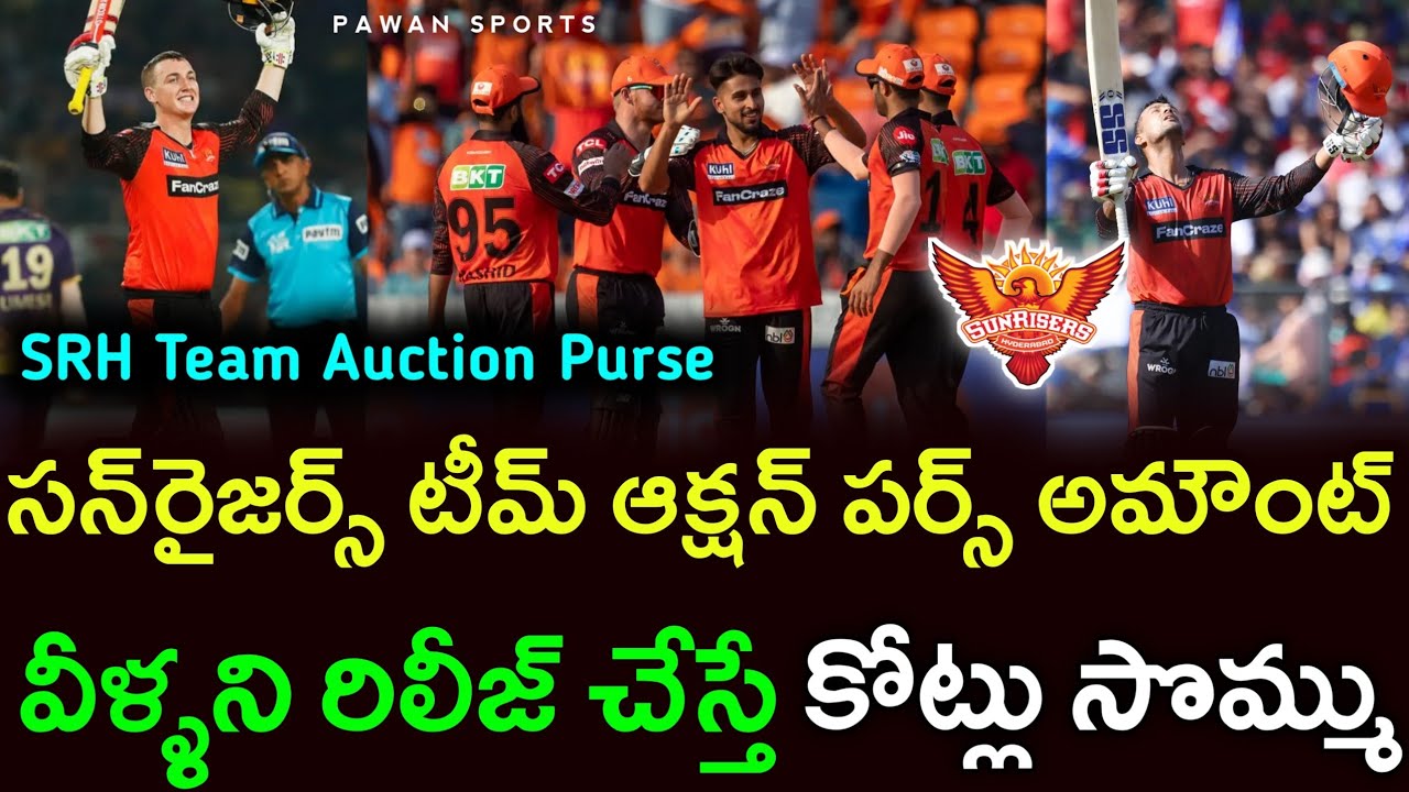 SRH team probable released players and auction purse || SRH team || IPL ...