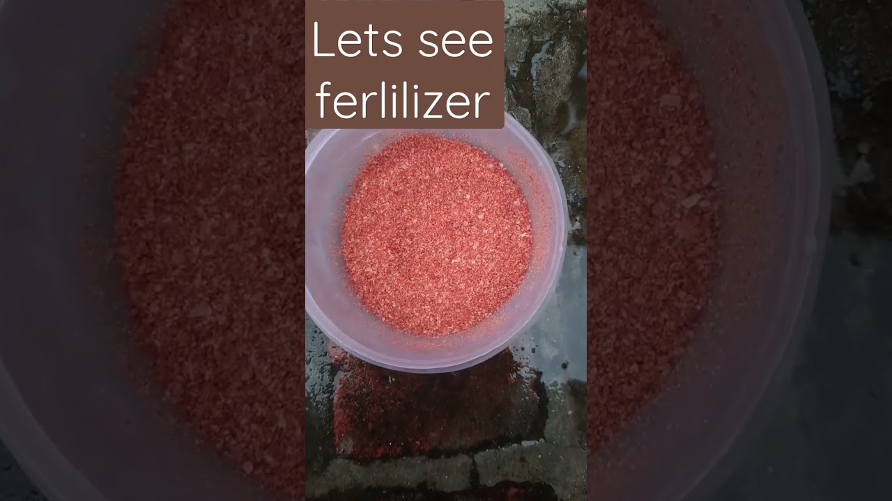 steps of hybrid hibicus - YouTube