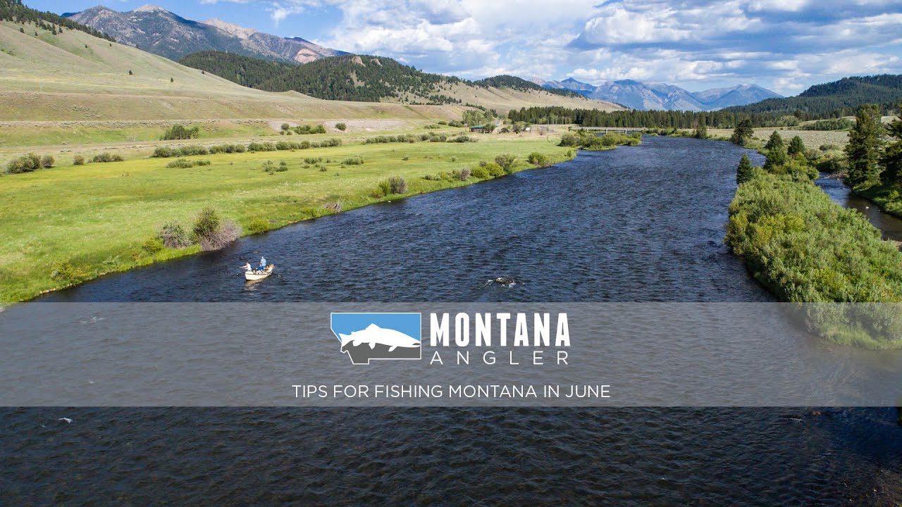 Tips For Fishing Montana In June - YouTube