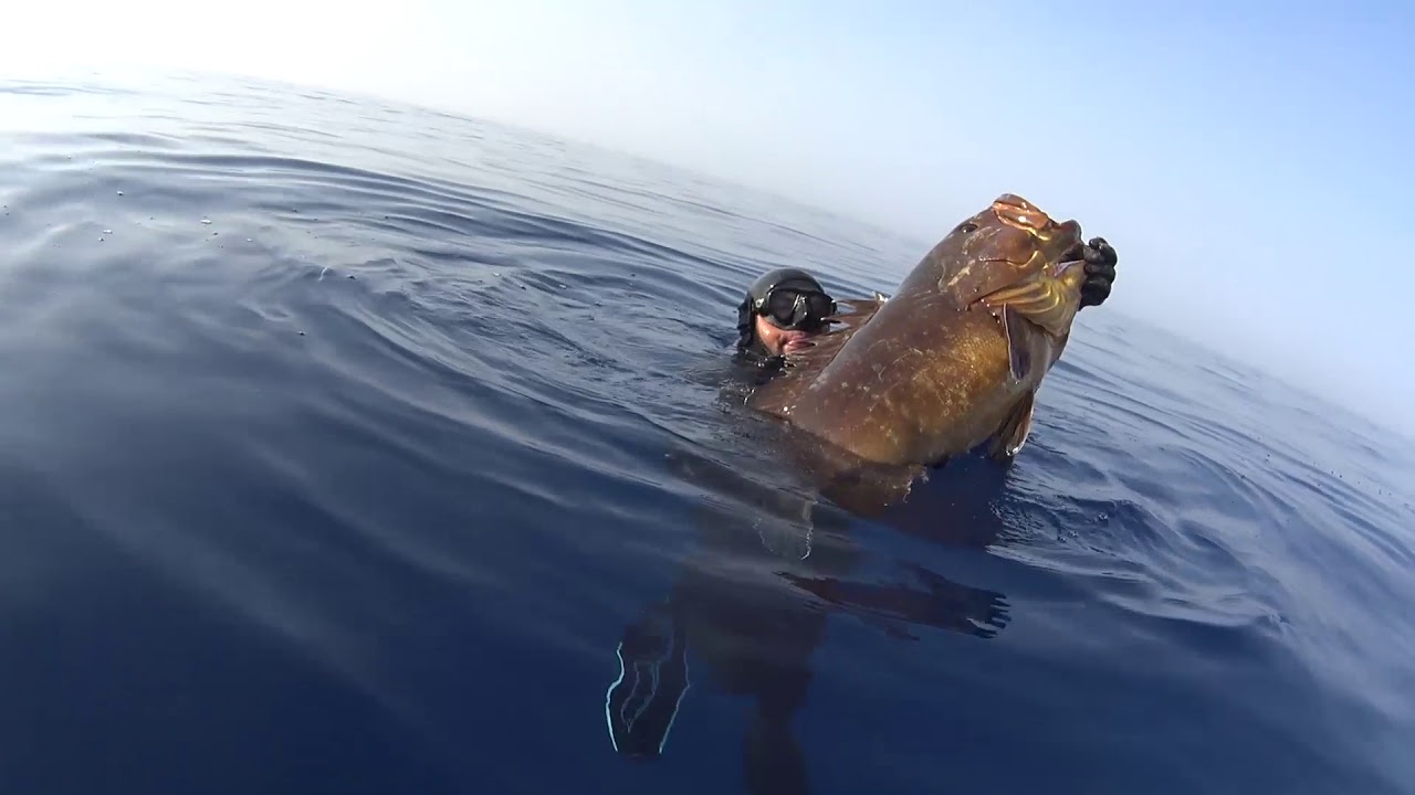 SPEARFISHING CYPRUS ONE ROCK 2 BIG GROUPERS!! - YouTube