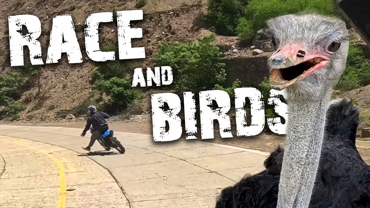 Racing with a local in motorcycle and big birds [Ep. 26] - YouTube